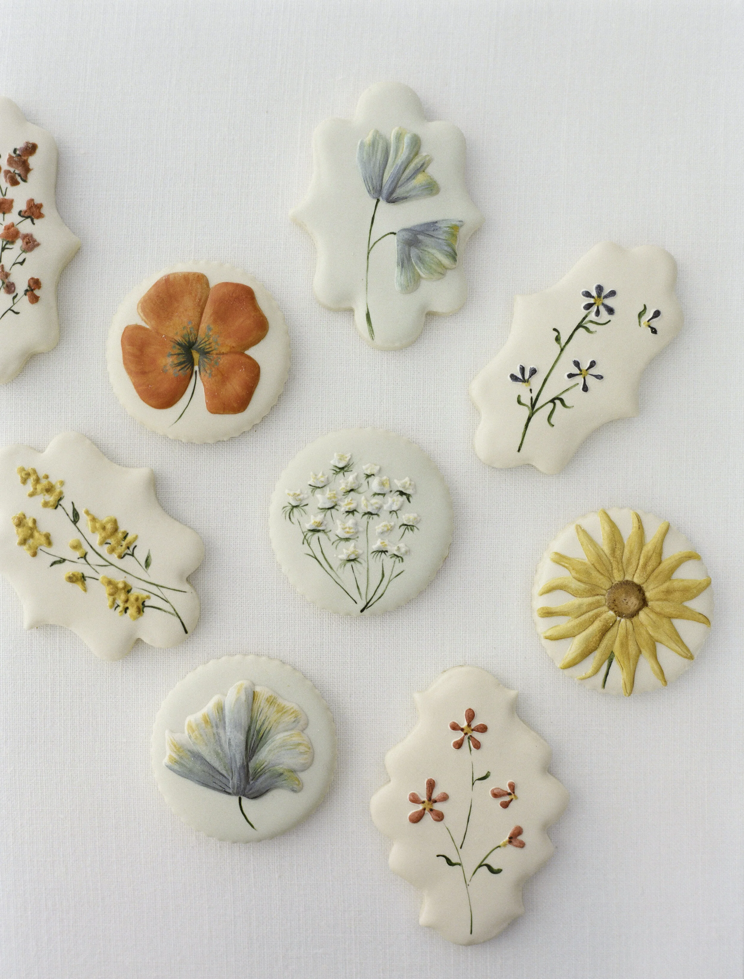 Lady in the Wild West