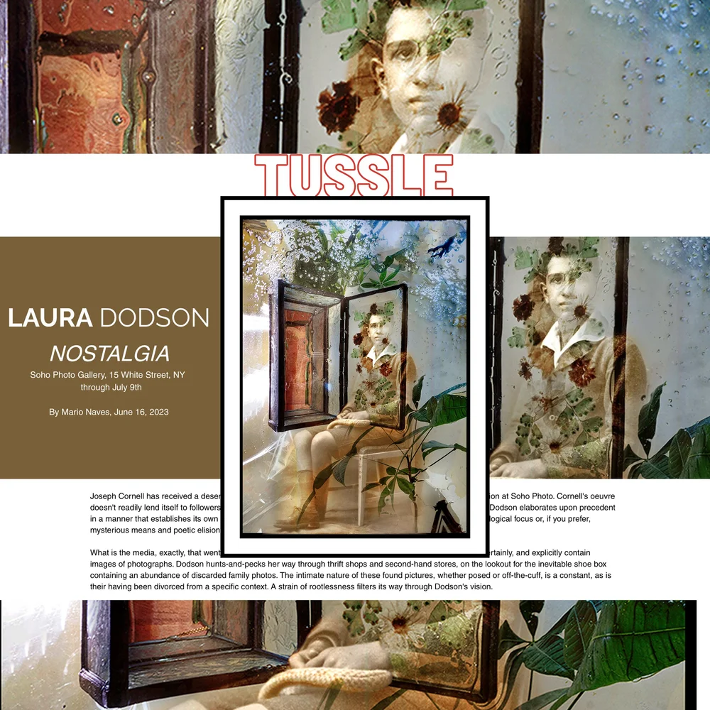 News - Laura Dodson