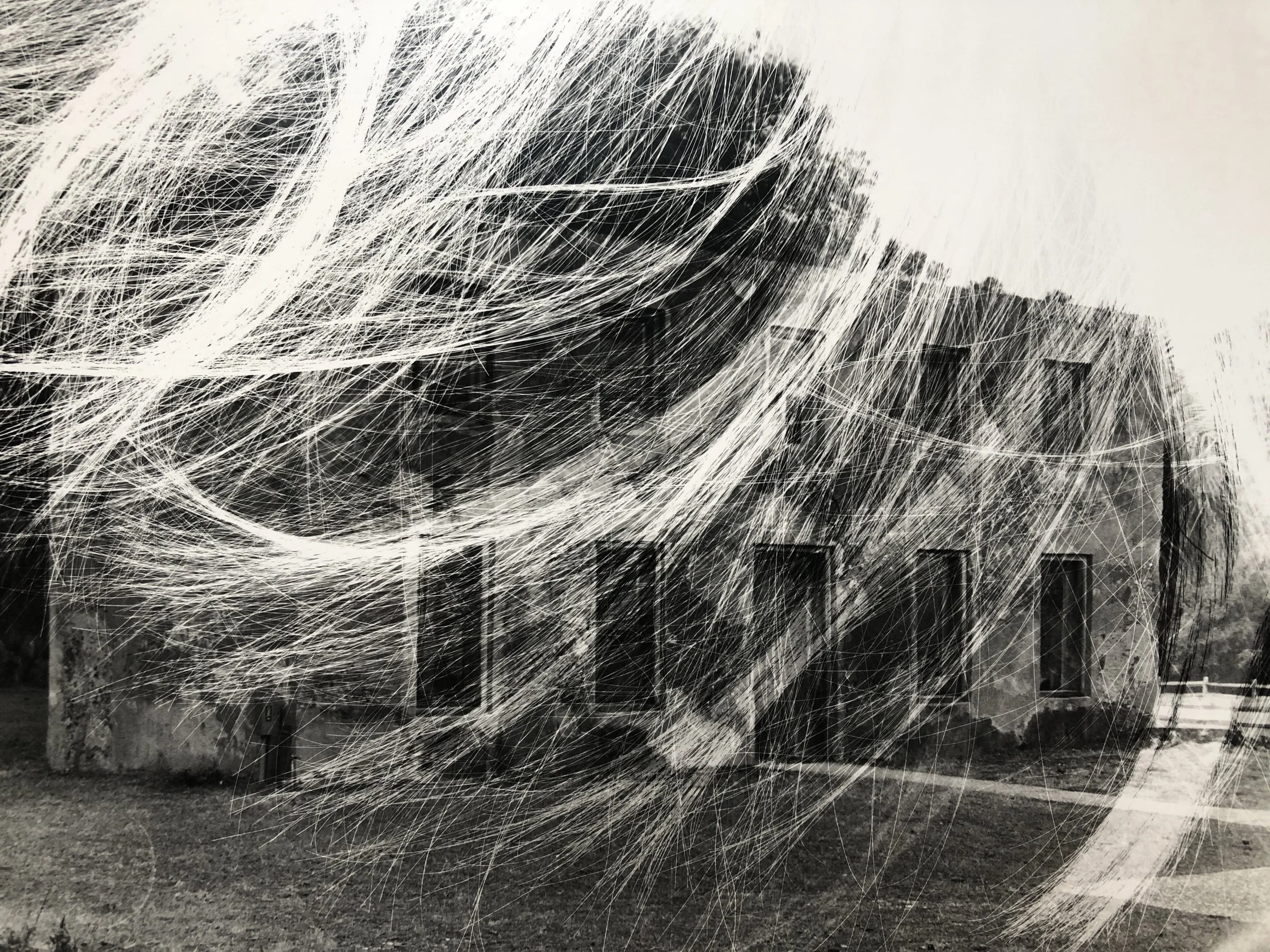 Tabby Structures — Caroline Creeden