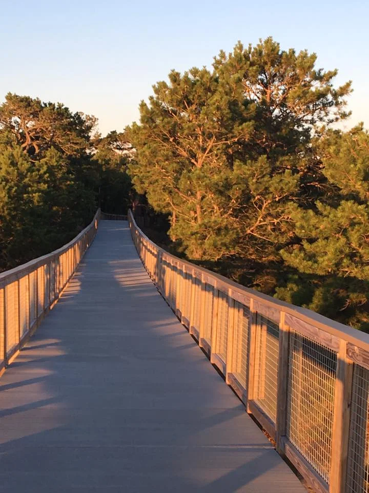 SHOWFIELD — Canalfront Builders