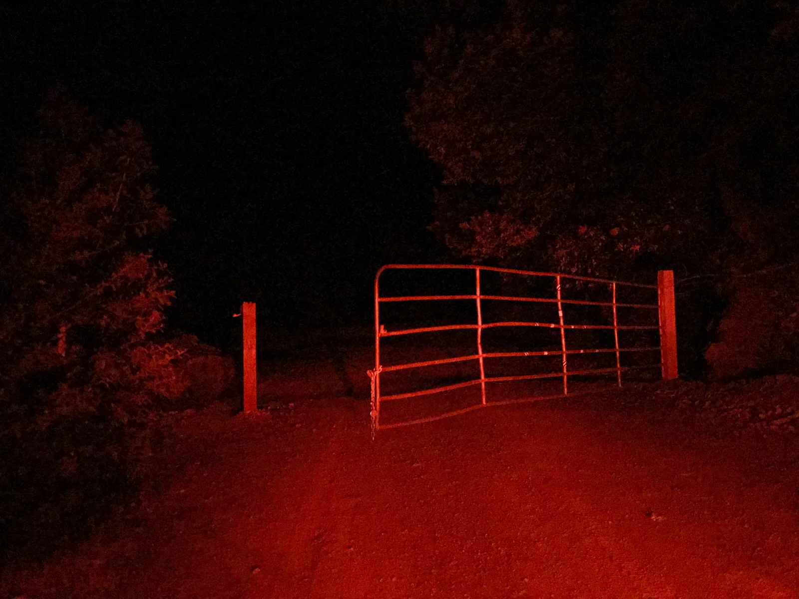 The Devil's Cabbage - Northern California — Adam Allegro Photography