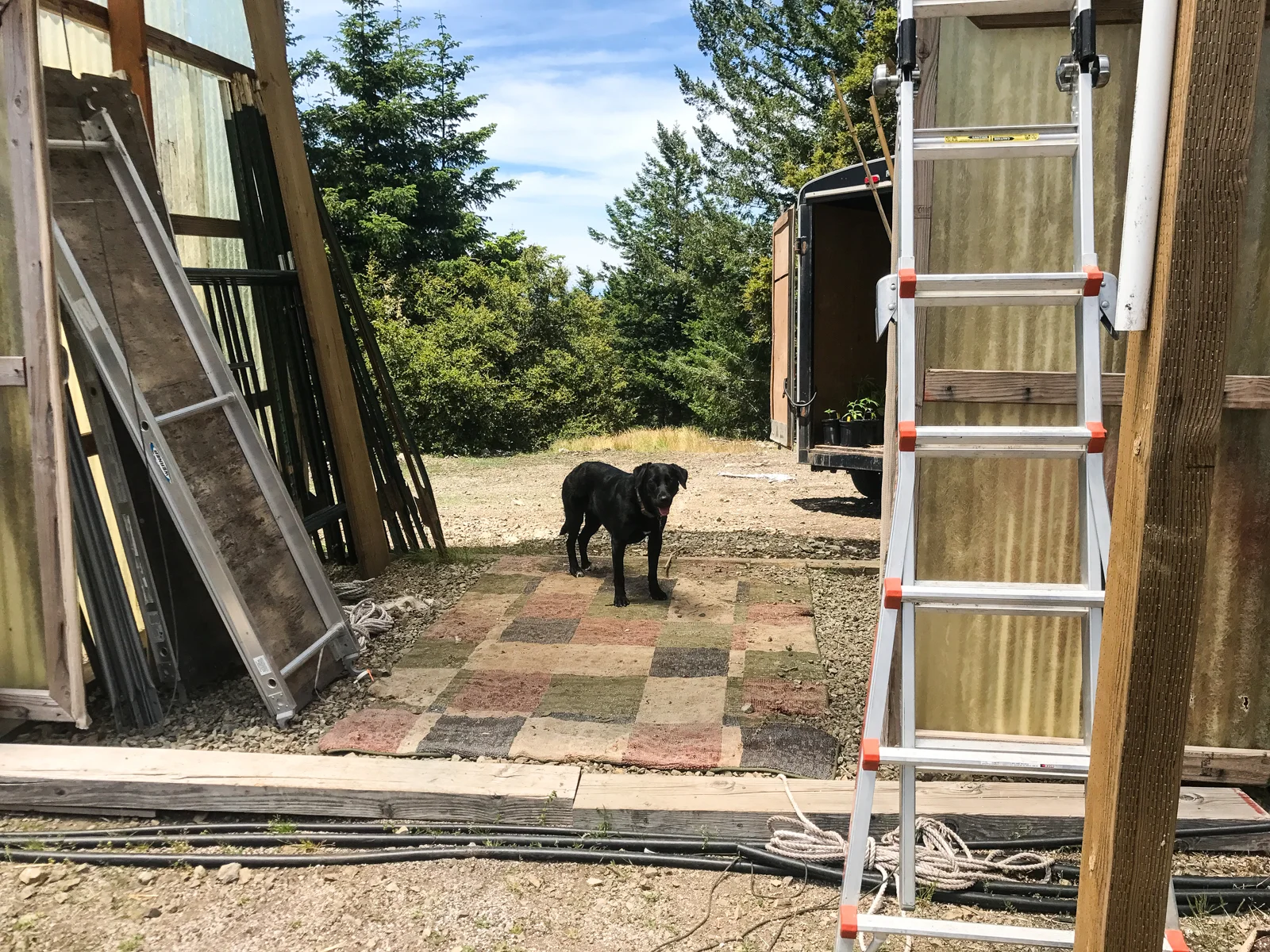 The Devil's Cabbage - Northern California — Adam Allegro Photography