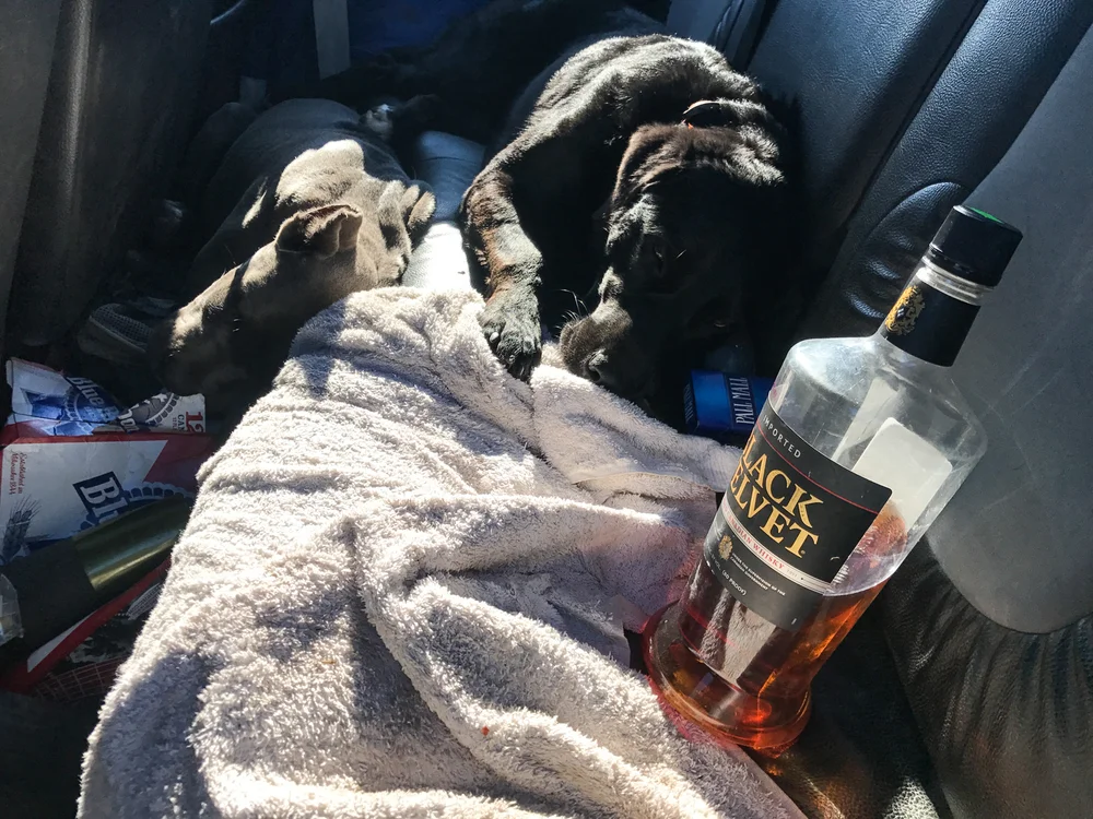 The Devil's Cabbage - Northern California — Adam Allegro Photography