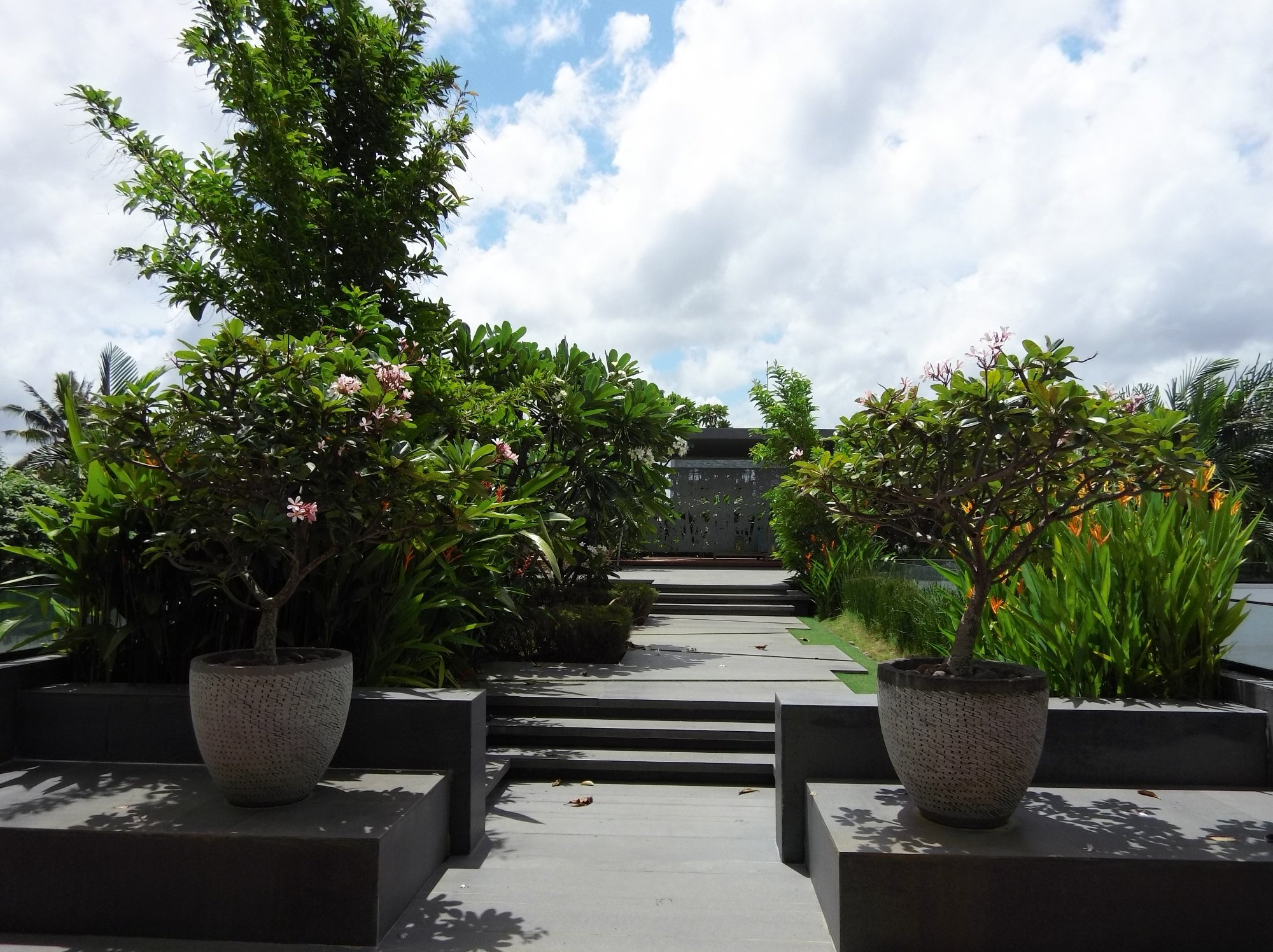 FICUS Landscape Architects