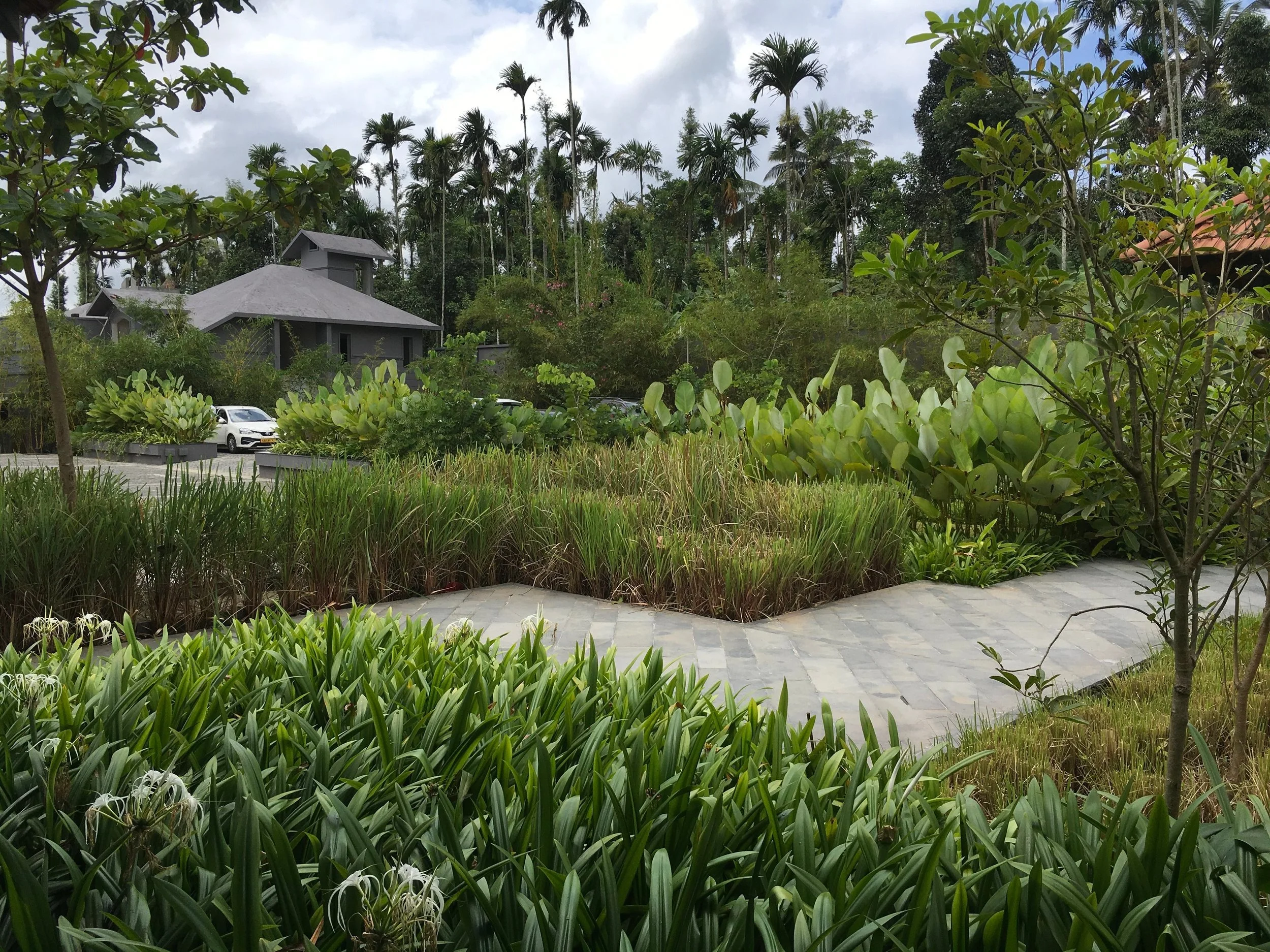 FICUS Landscape Architects