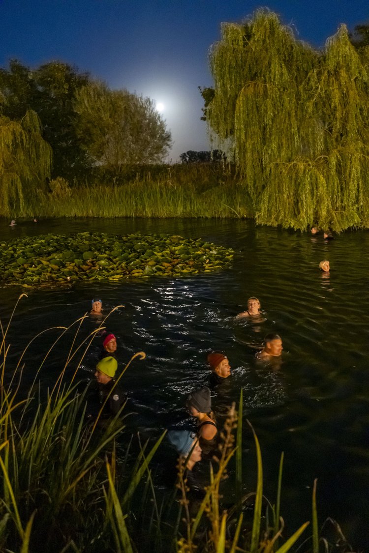 Moon Swims — Pool Bridge Farm