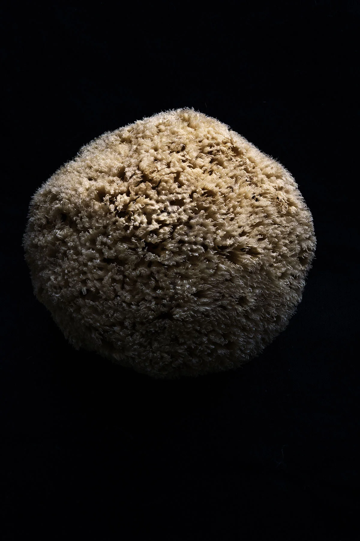 Sponge Divers of Kalymnos | Francesco Zizola — NOOR