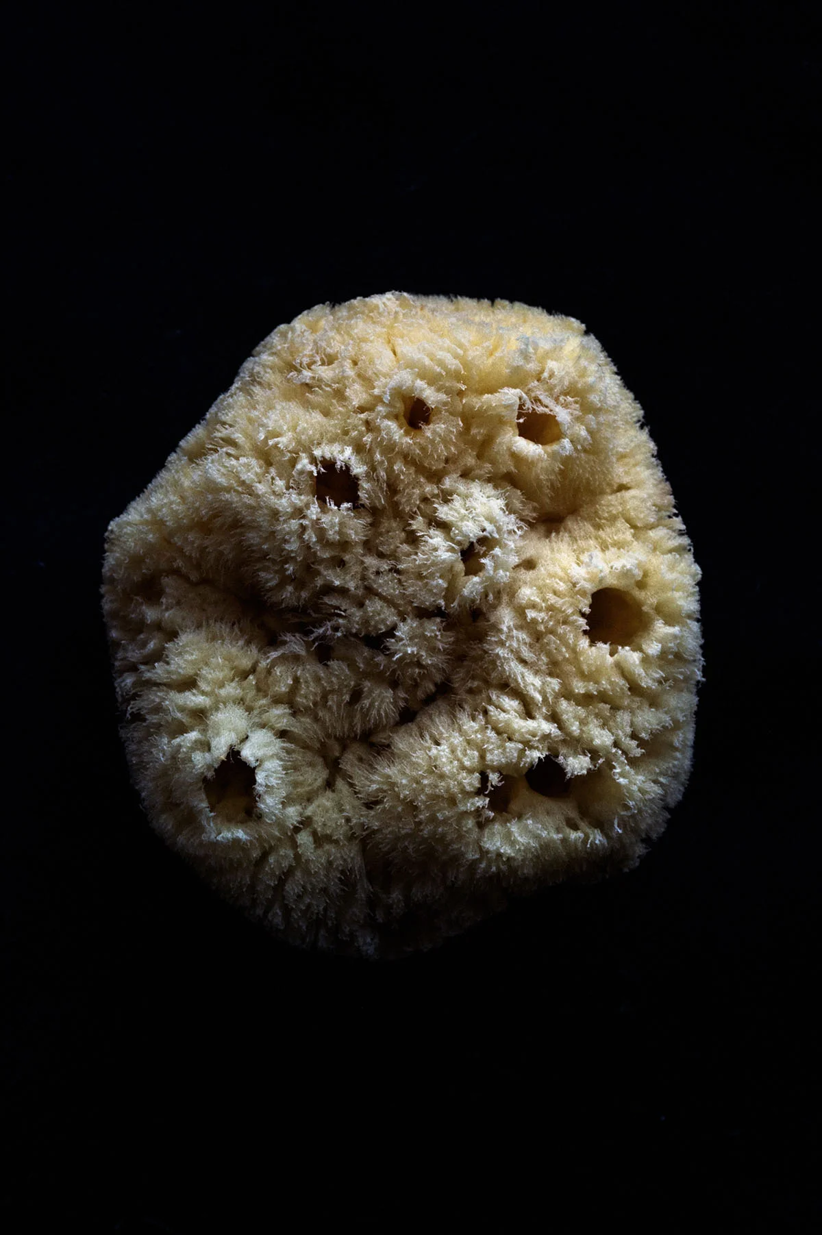 Sponge Divers of Kalymnos | Francesco Zizola — NOOR