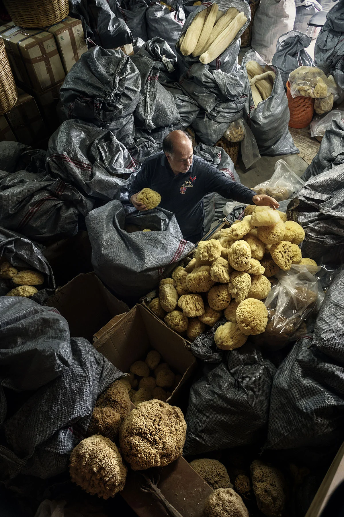 Sponge Divers of Kalymnos | Francesco Zizola — NOOR