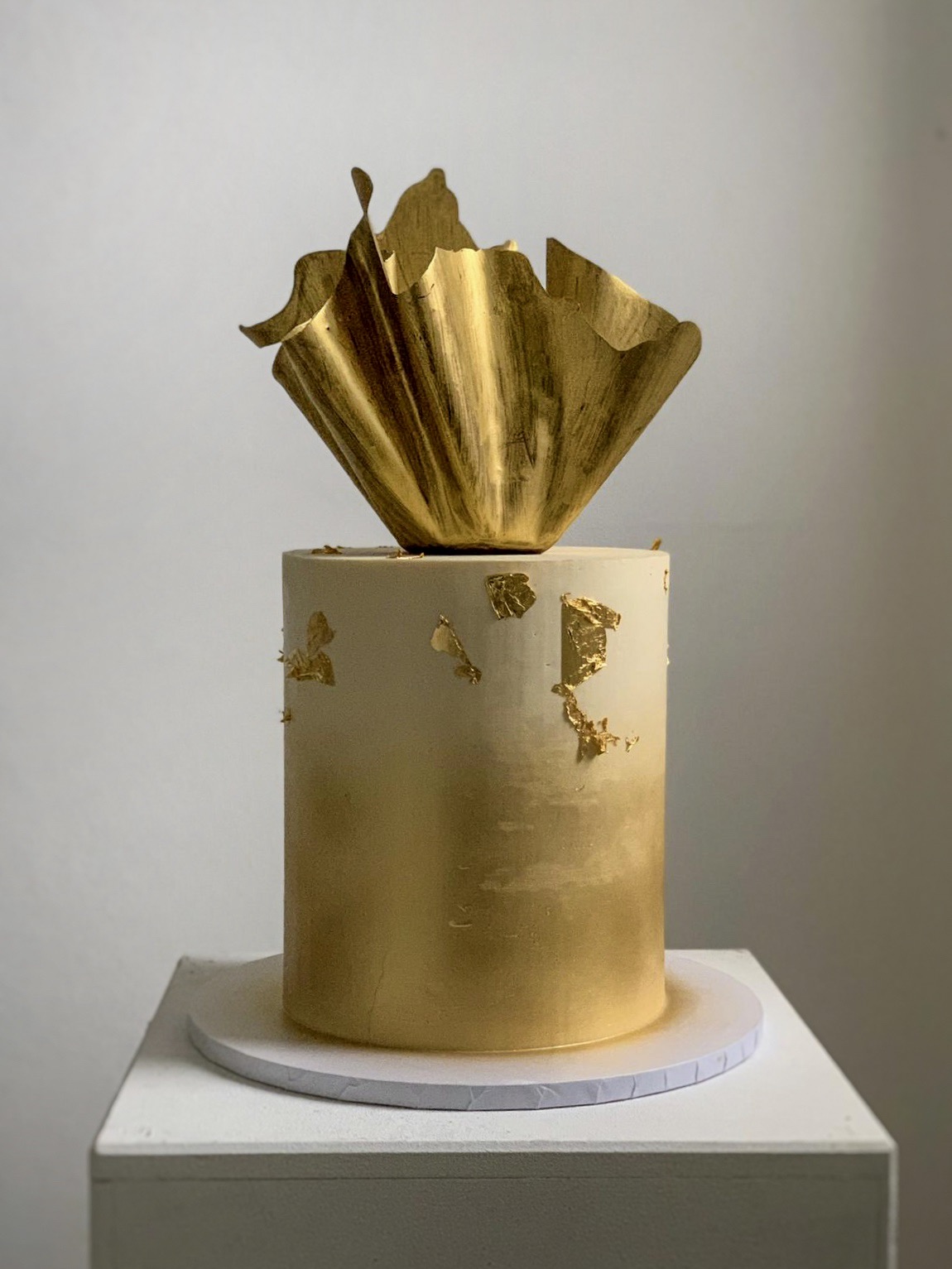 Introduction — P a d d y C a k e s