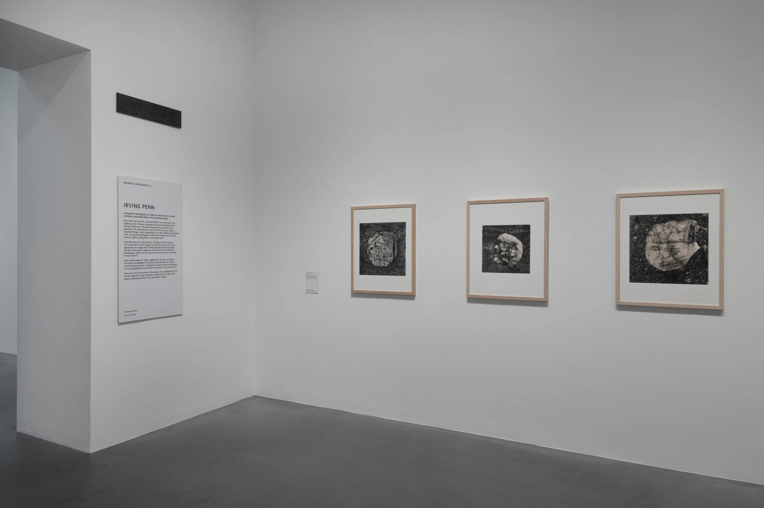 The Irving Penn Foundation