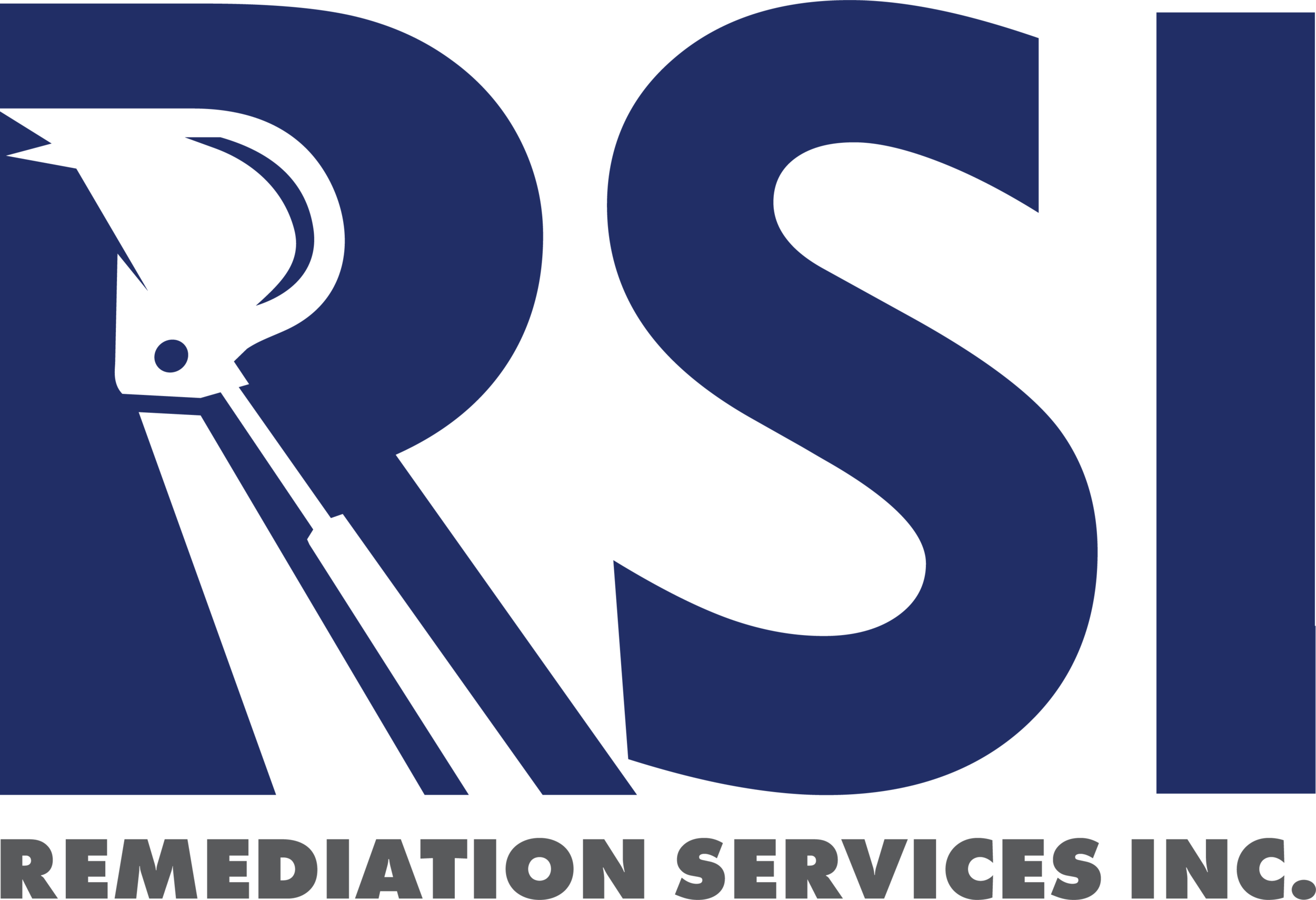 Remediation Services Inc.