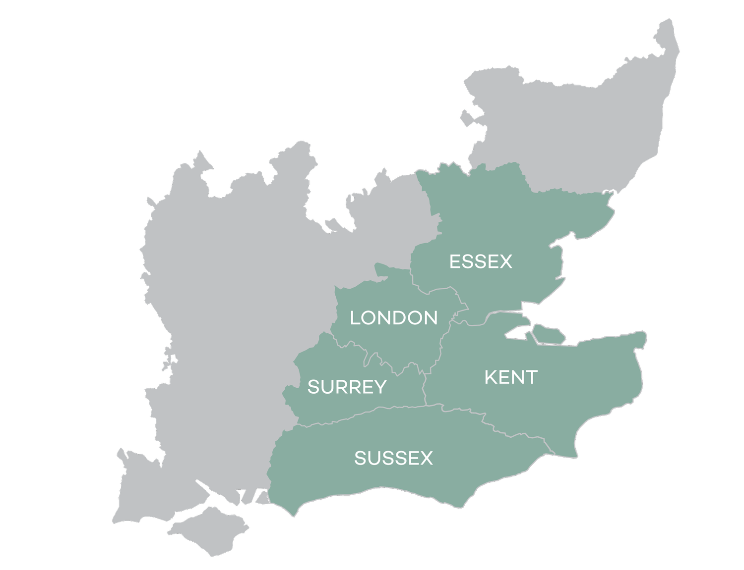 Tree Surgeons in Folkestone | Down to Earth Trees Ltd