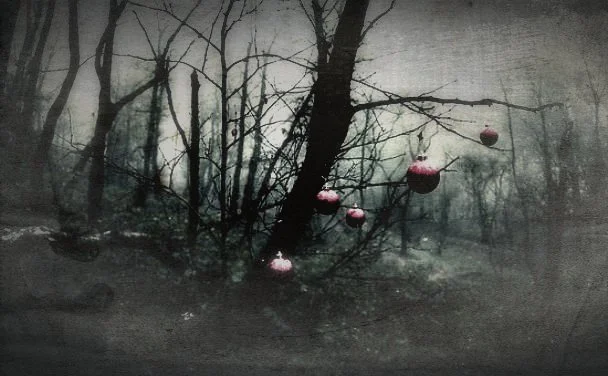 ONE BLEAK MIDWINTER NIGHT — American Hauntings