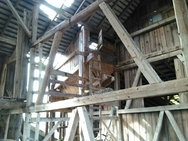 Old Growth New Lumber