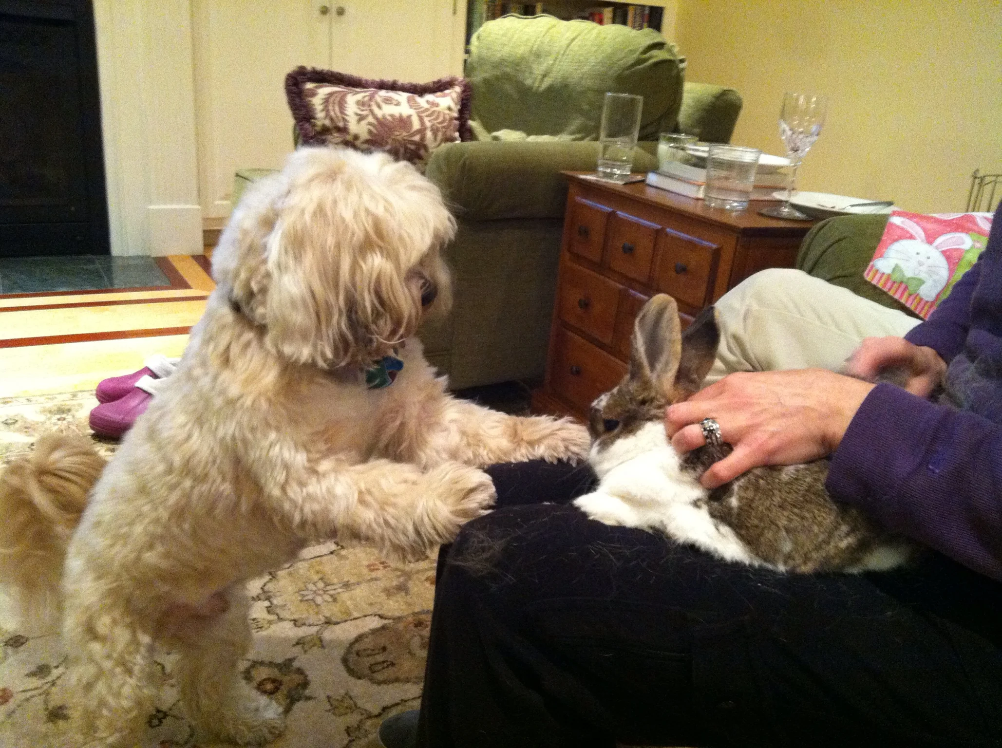 Projects — David Fixler Architecture Planning Preservation