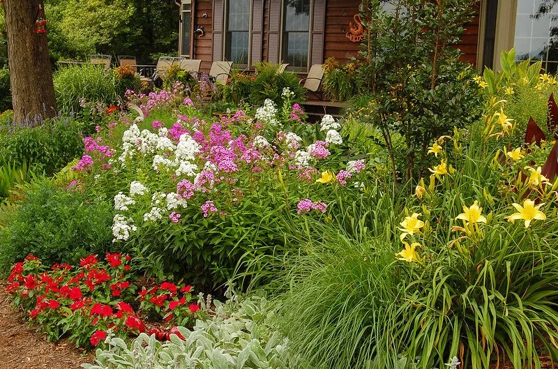 Dividing perennials in spring: tips for success — Corner Store Garden ...