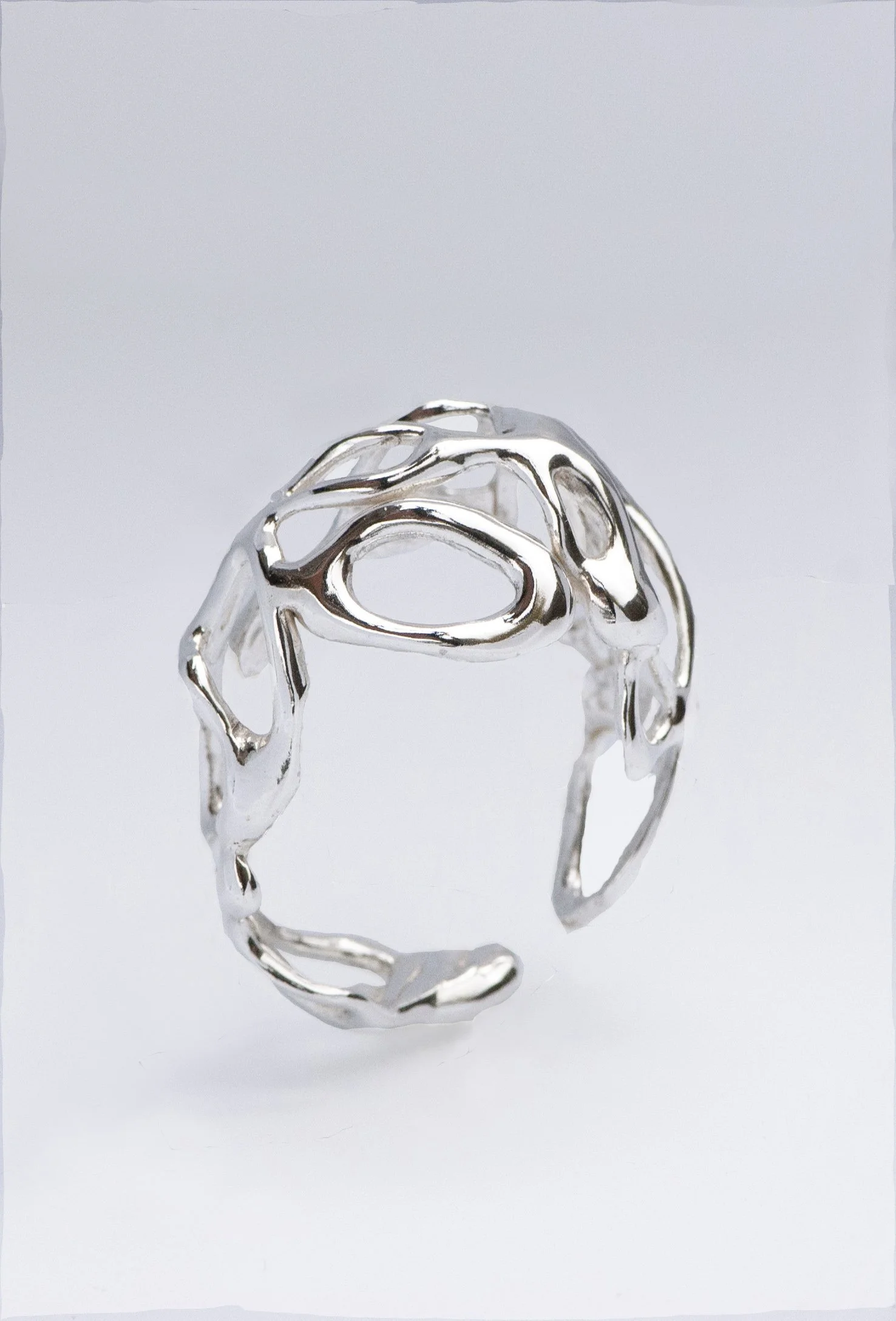 The Canyon Ring — ANNE DAHL