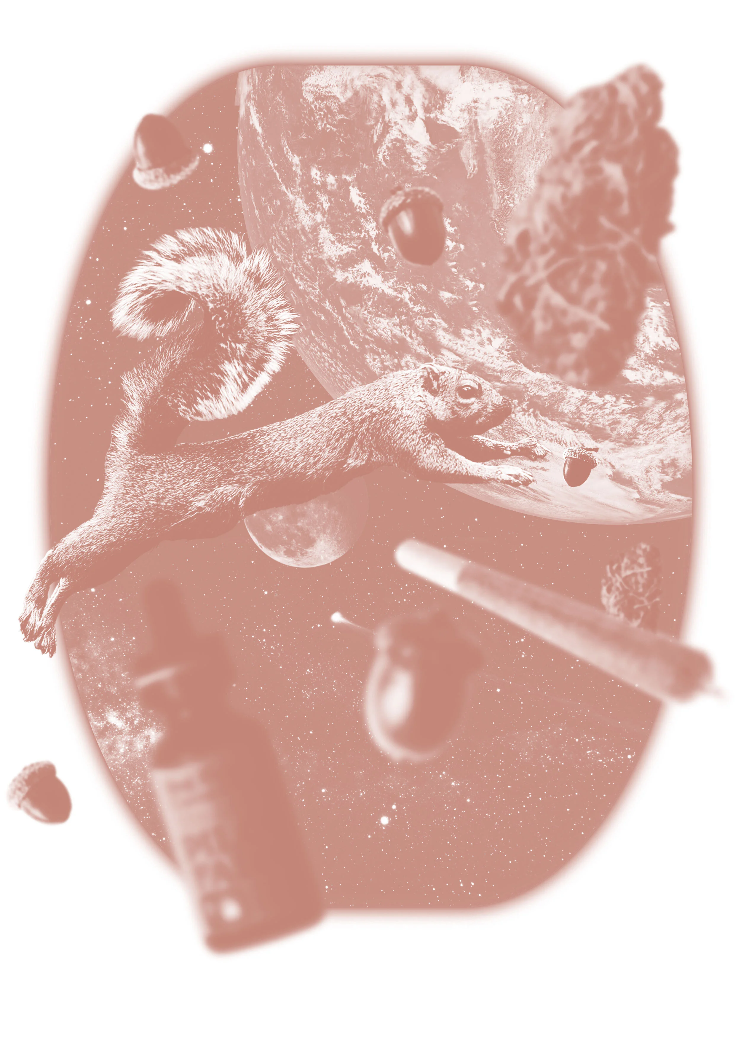 Home [pilotfarm.com]