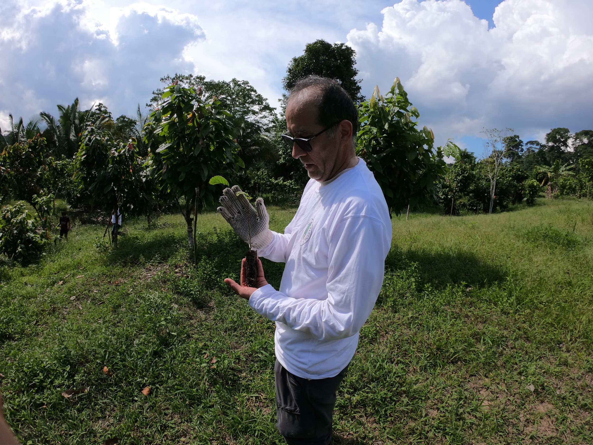 With Over Two Decades of Experience Supporting Indigenous Medicinal ...