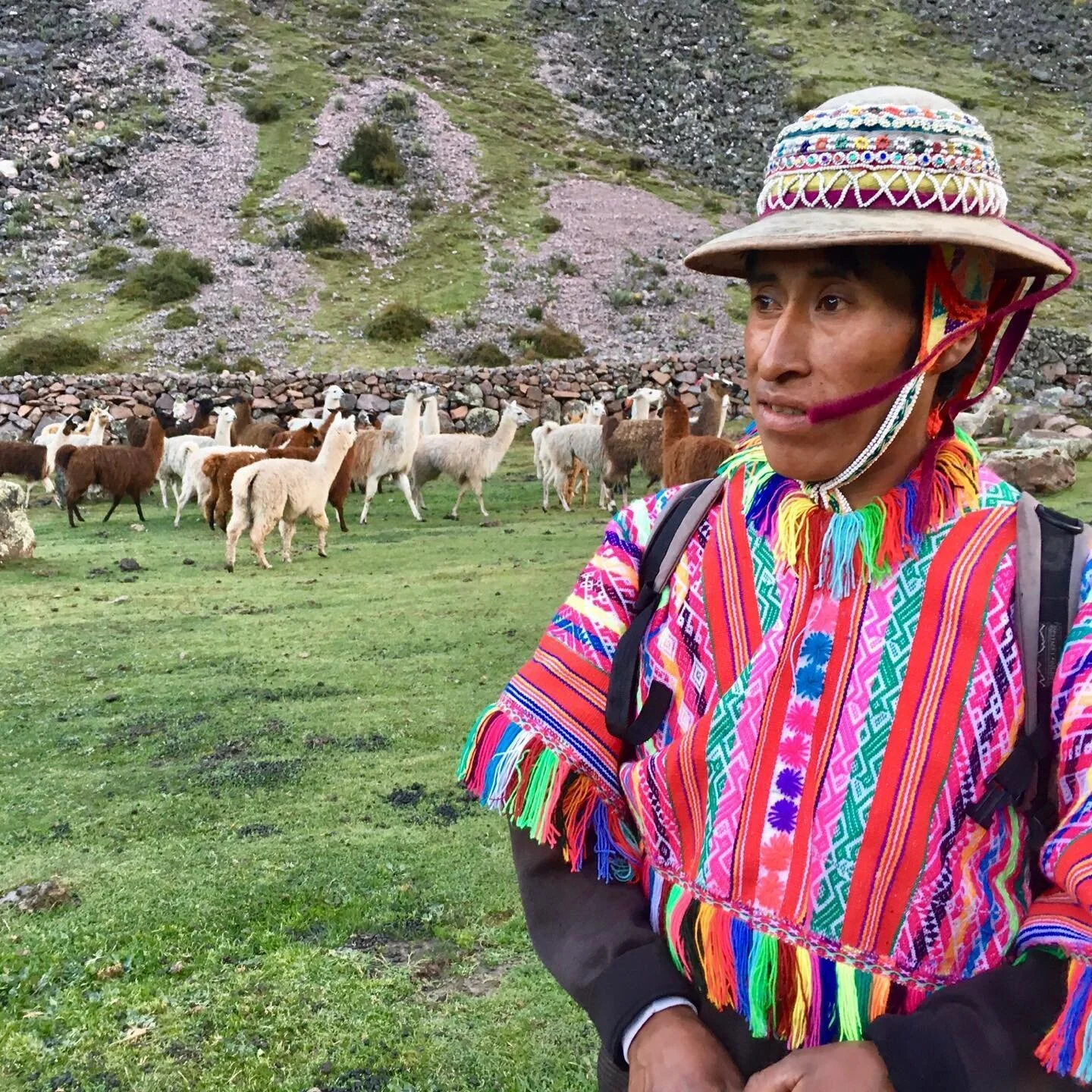 The Andes | Social Impact Investing | NESsT
