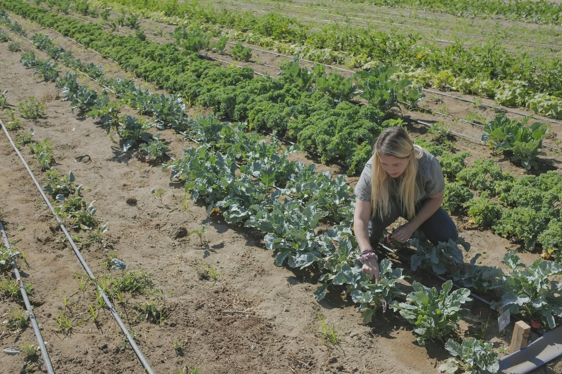 Meet Savia, the new face of Fresh & Co. | NESsT