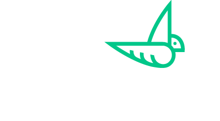 About NESsT | NESsT