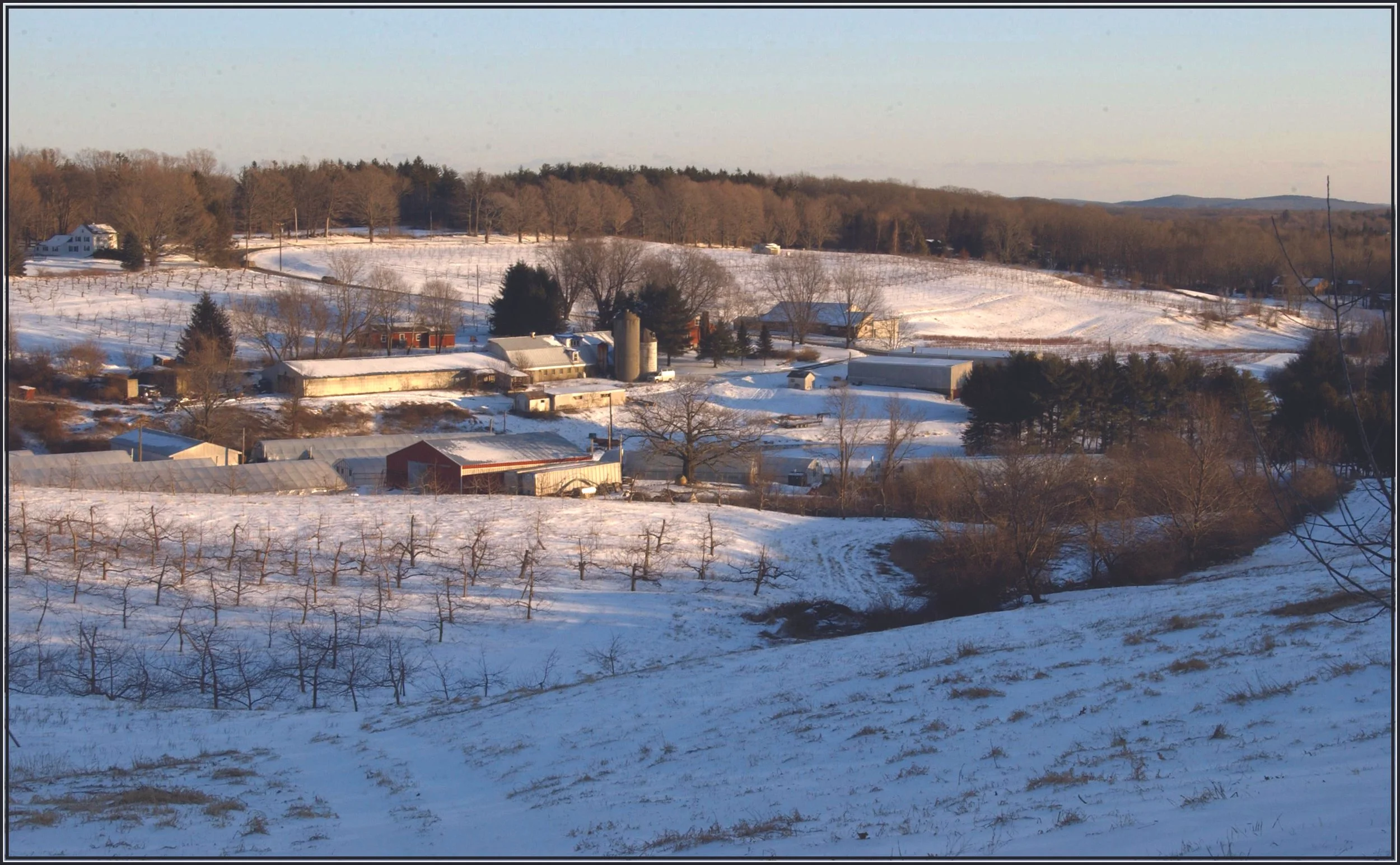 In Memory of An Unforgettable Farmer, Tom March (1944-2024) — Nancy ...