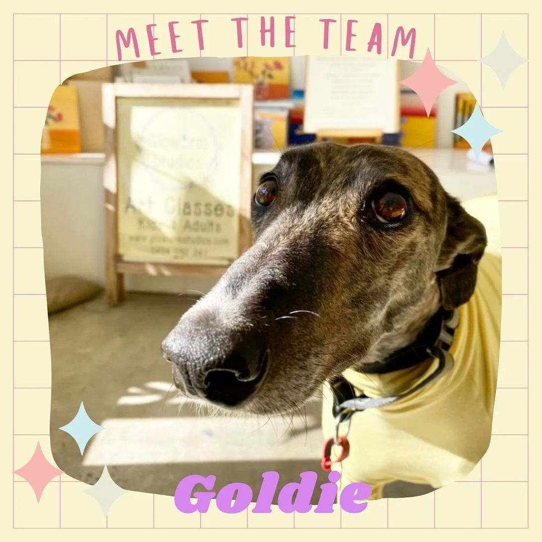 Meet the Team — Gloworm Studios