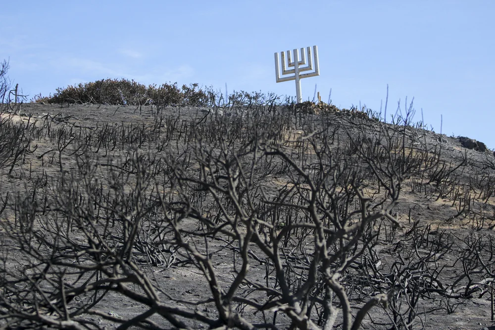 Woolsey Fire Aftermath — The | Corsair
