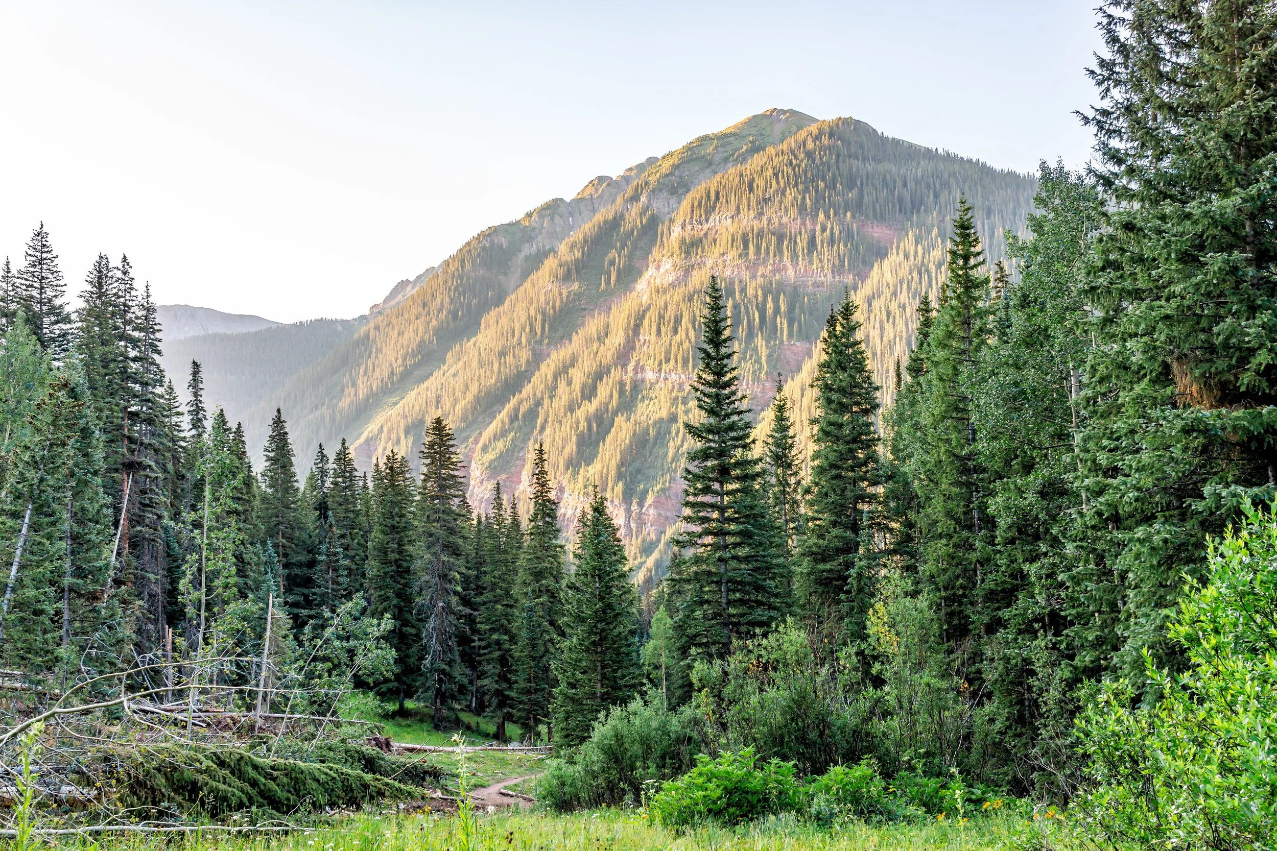 Best Forest Wedding Venues in Colorado — Courtney Hellen Photography