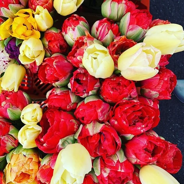 Perry Street Thursday Market