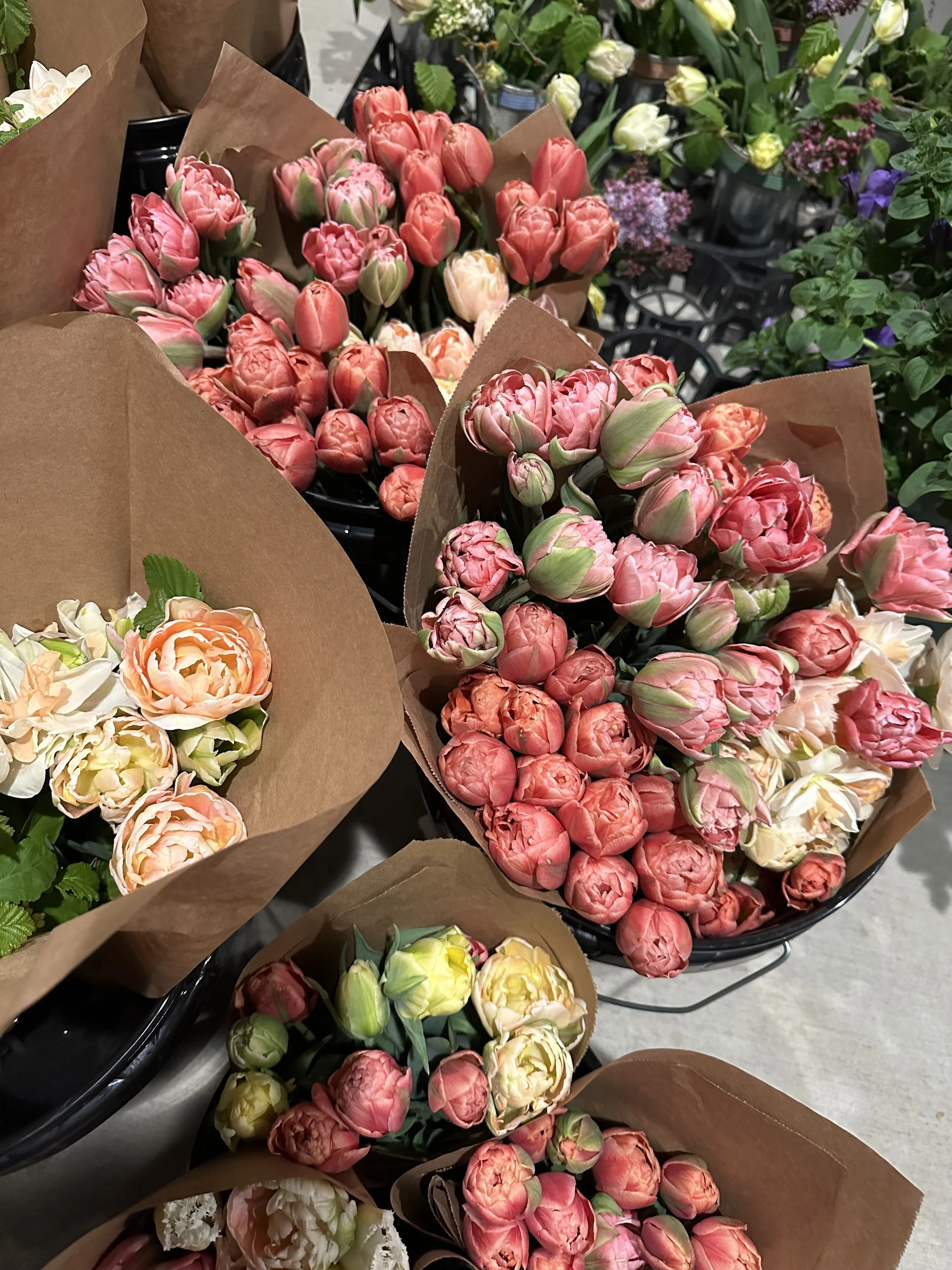 Our Vendors — Perry Street Thursday Market
