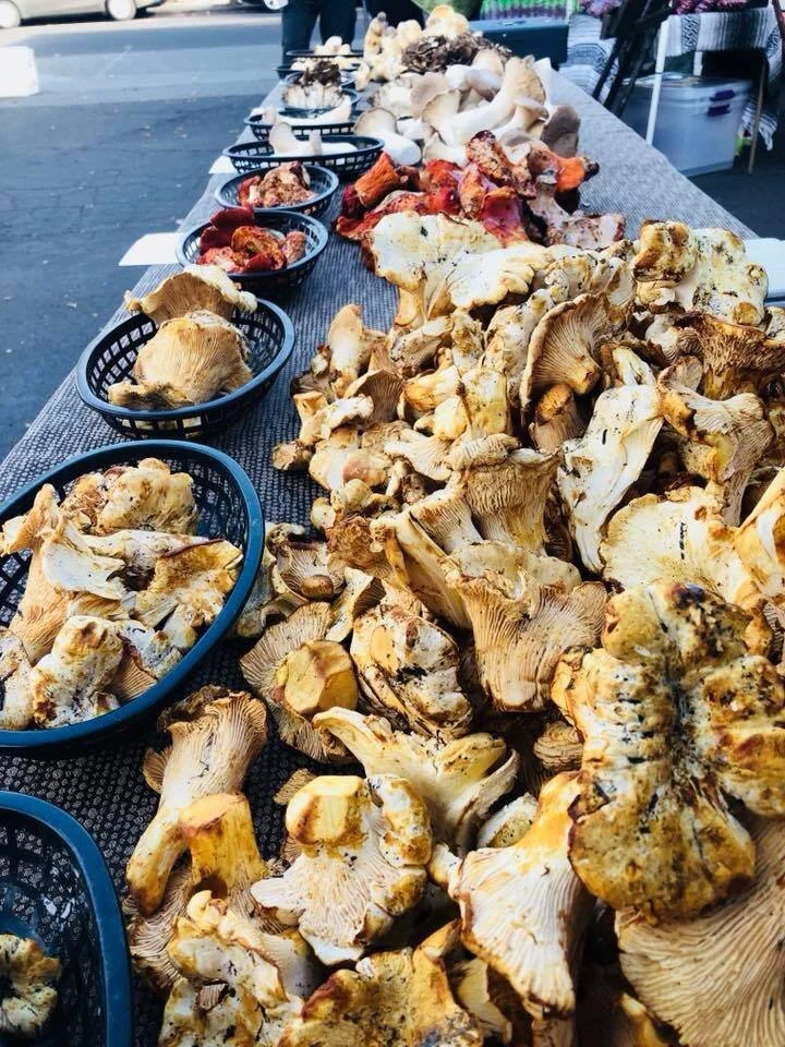 Our Vendors — Perry Street Thursday Market