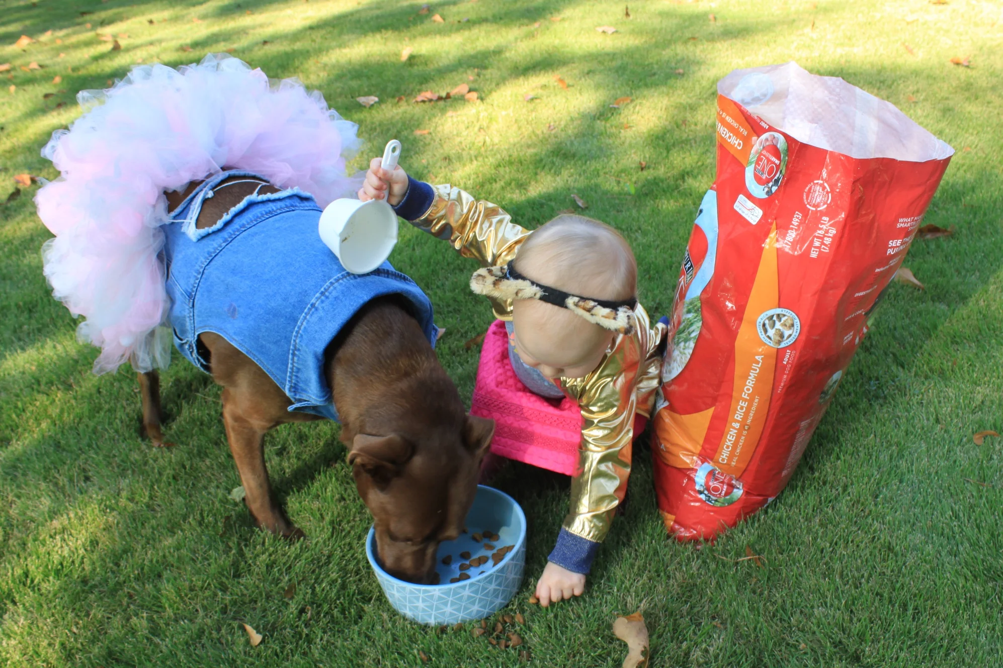 5 TIPS ON GETTING PHOTOS OF YOUR BABY & DOG — House of Dorough