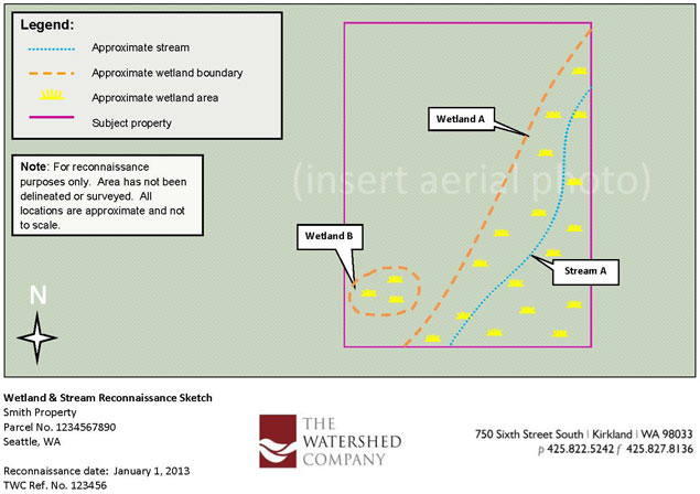 Should You Get a Wetland Delineation or Reconnaissance? — The Watershed ...