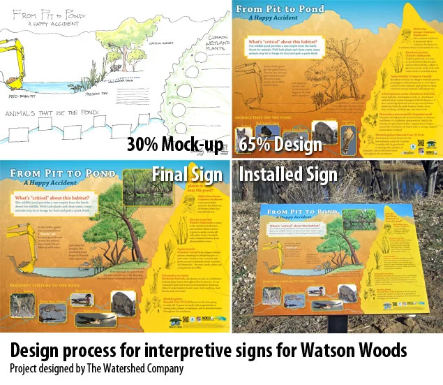 Interpretive Program Development: Watson Woods Riparian Preserve — The ...