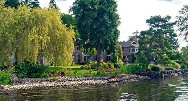 Lake Shore Ideas