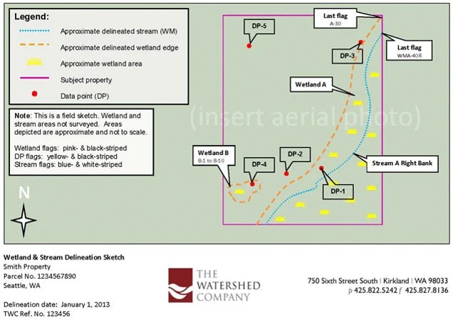 A Homebuyer's Guide to Critical Areas — The Watershed Company