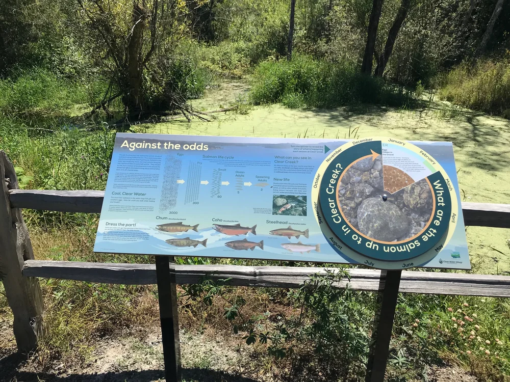 Interpretive Planning & Design — The Watershed Company