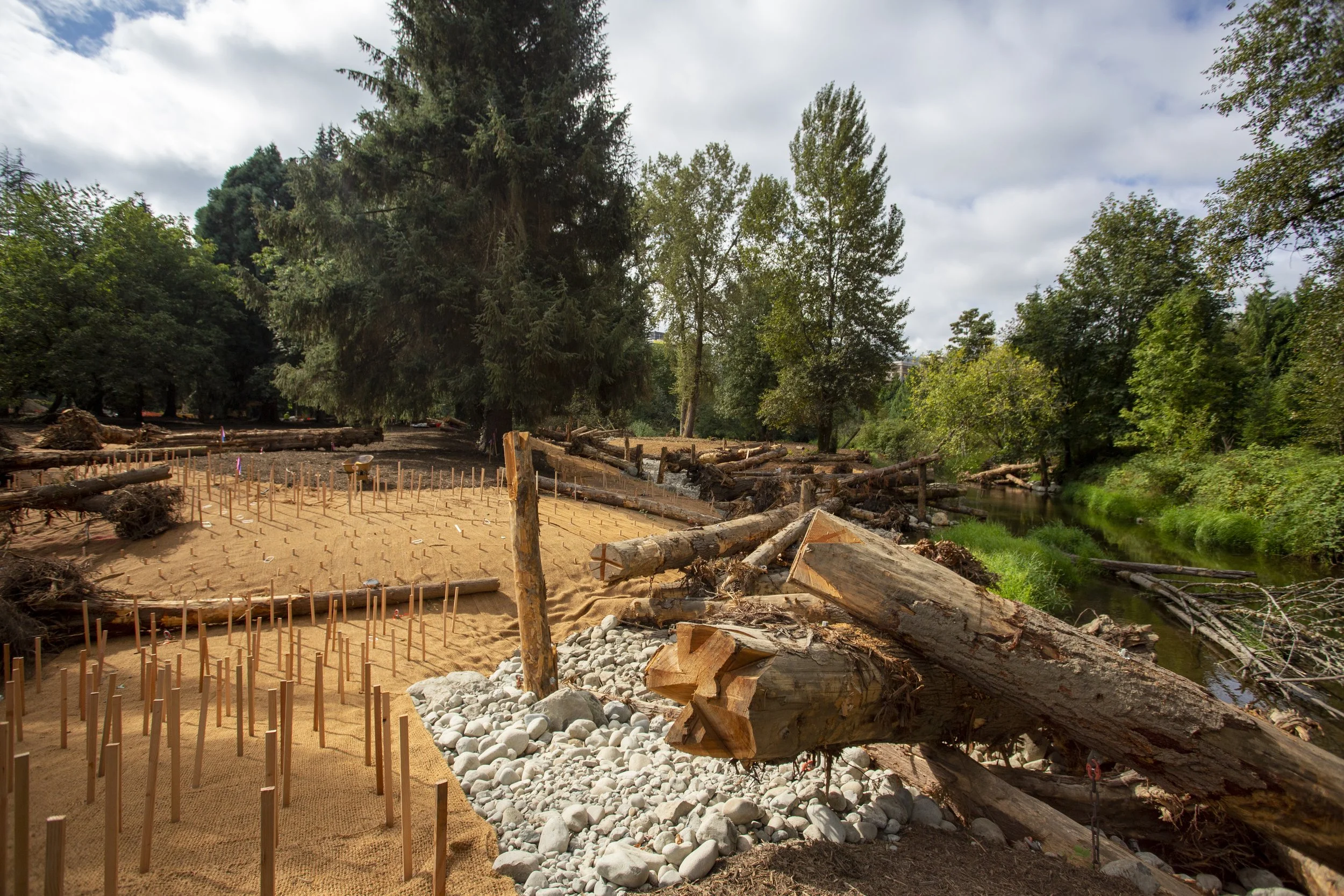 The Watershed Company