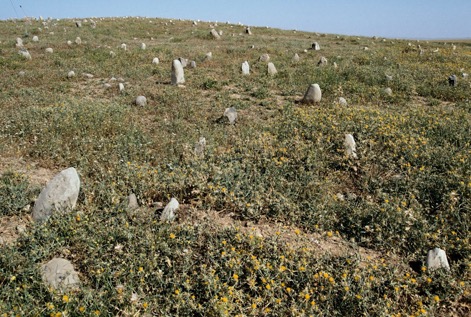 Susan Meiselas — OURS