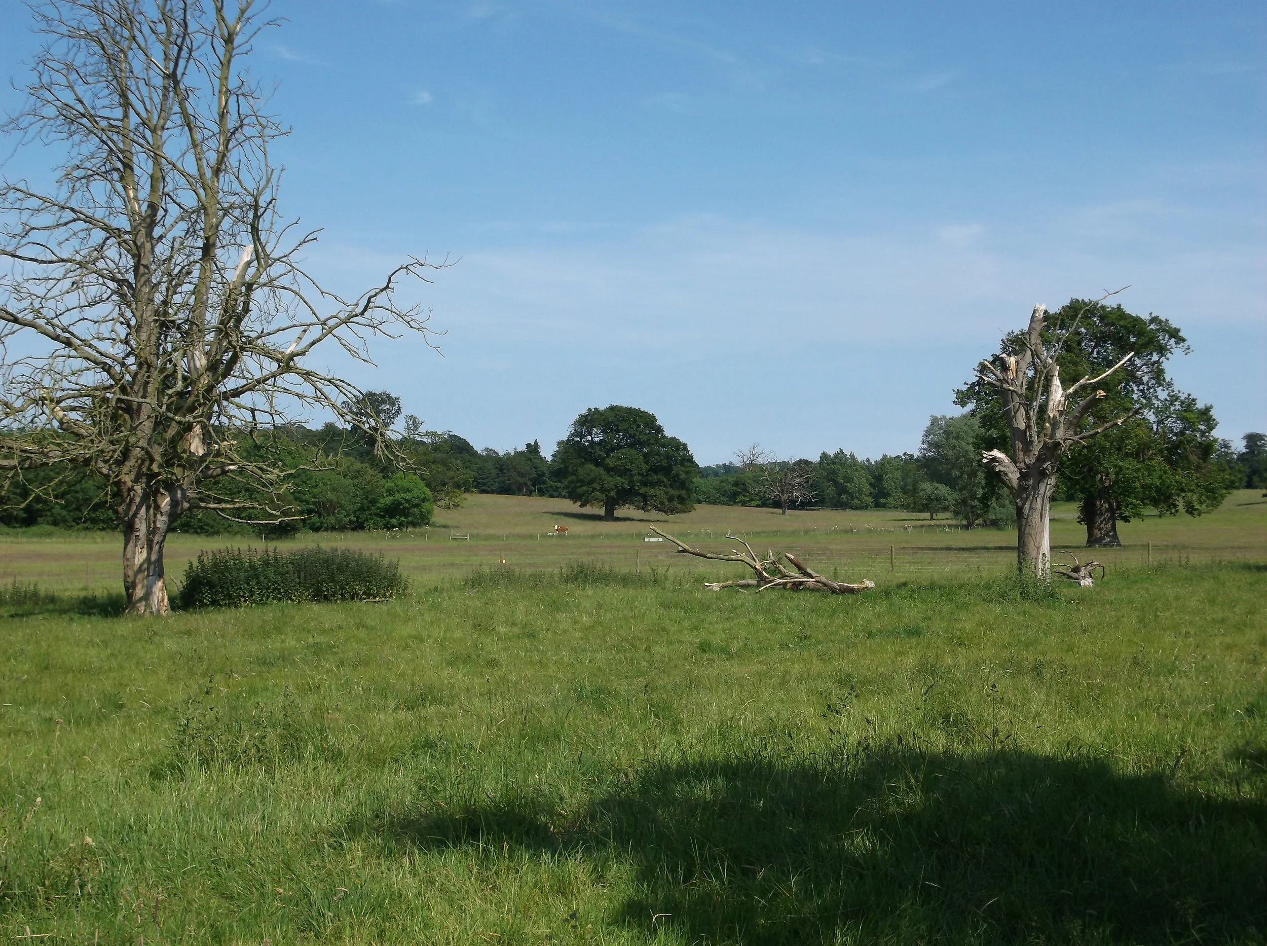 Glemham Hall - Country House Wedding Venue Suffolk, UK