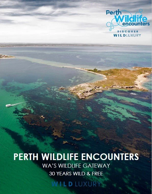 Trade & Agents — Perth Wildlife Encounters Dolphin Swim