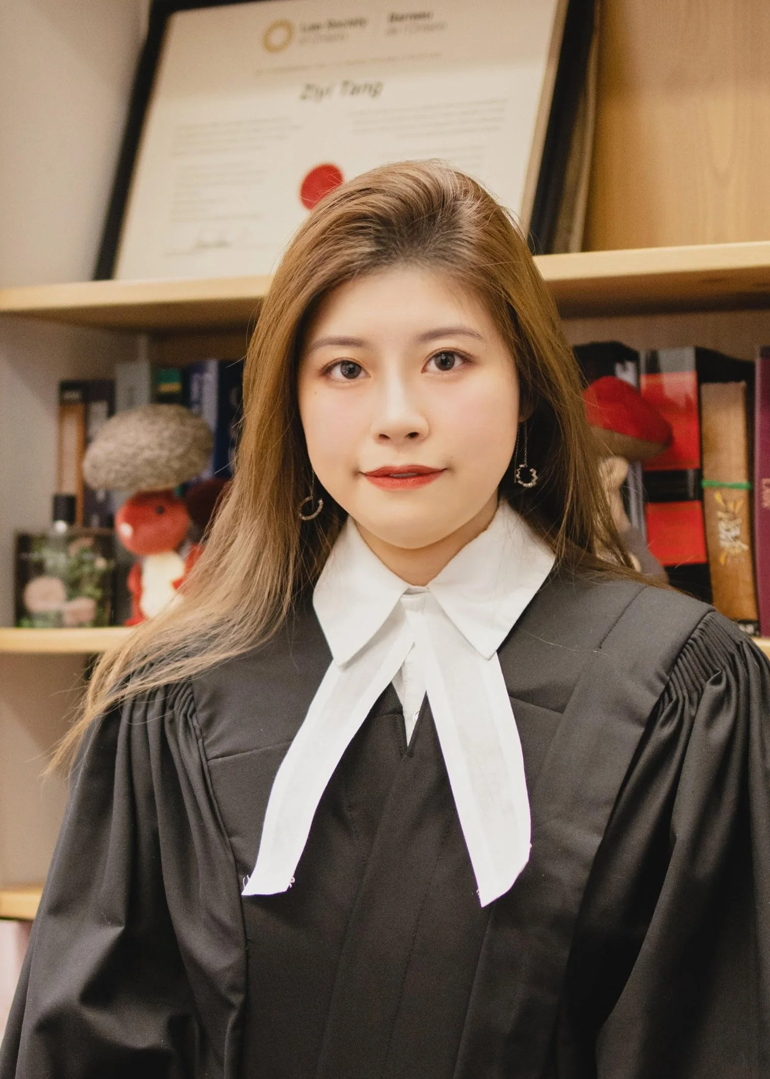 Lawyers — XS Law Professional Corporation