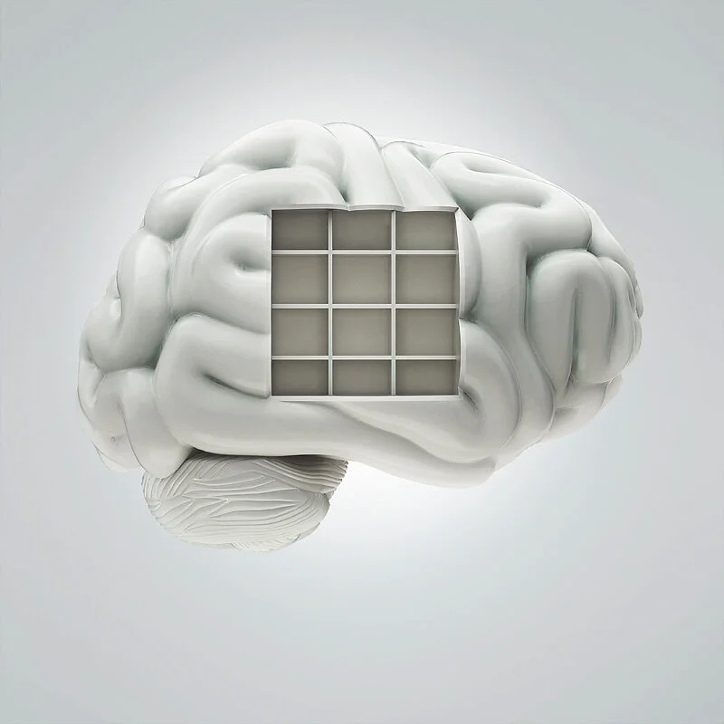 we love brains — Tim&Tim