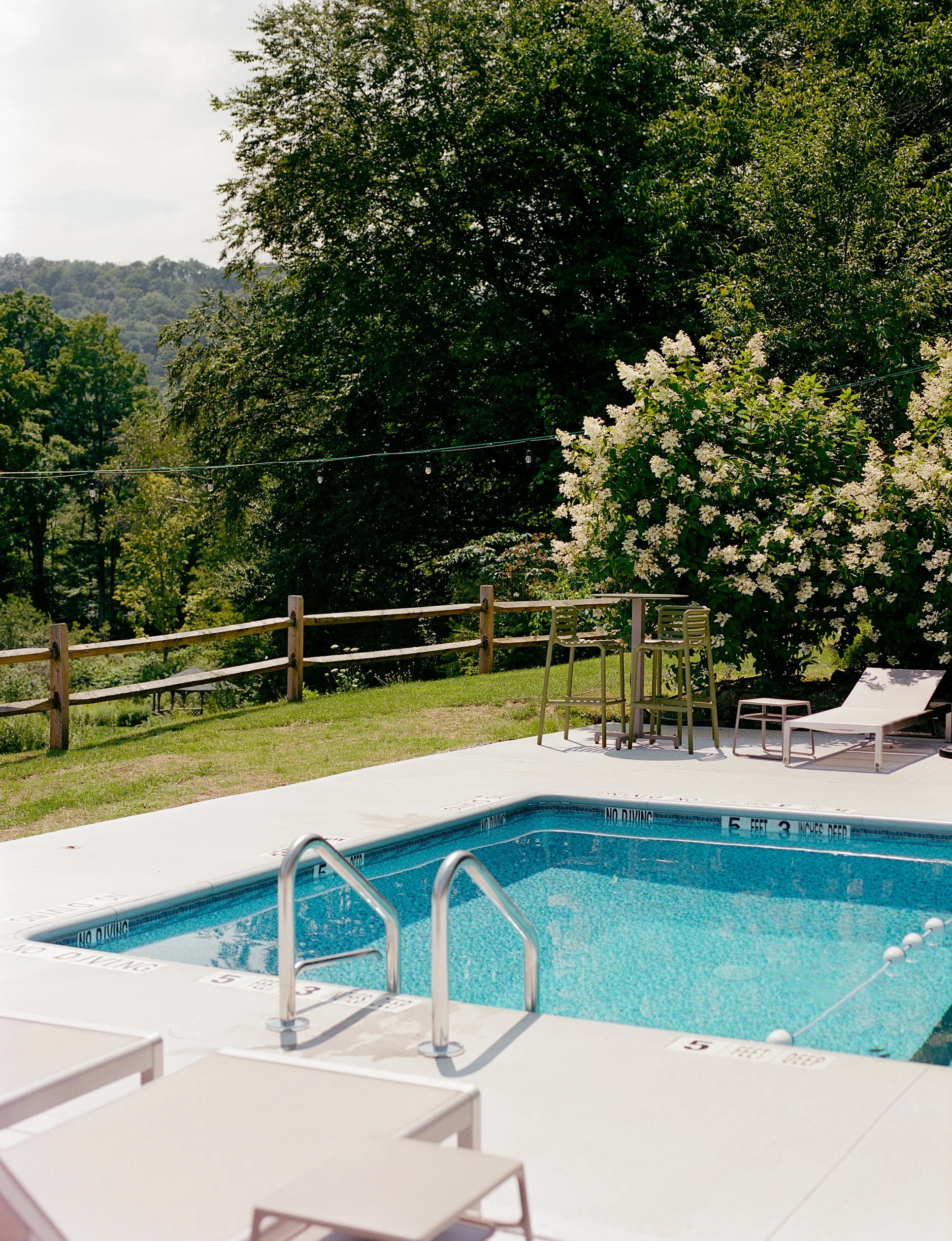Dog-Friendly Hotel | Catskills Livingston Manor — The DeBruce