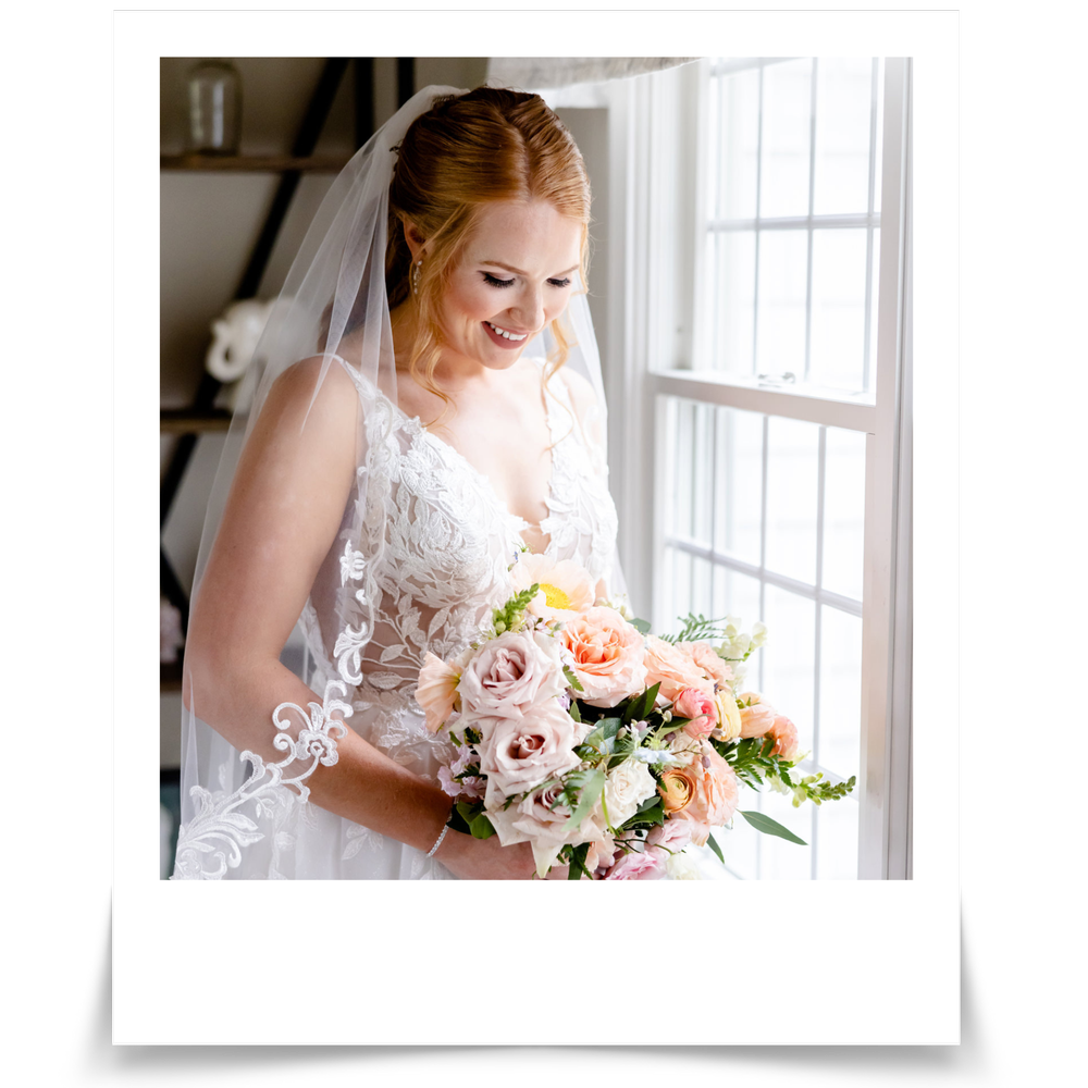 Ali Rosa Photography || Boston Massachusetts, Cape Cod, Newport ...