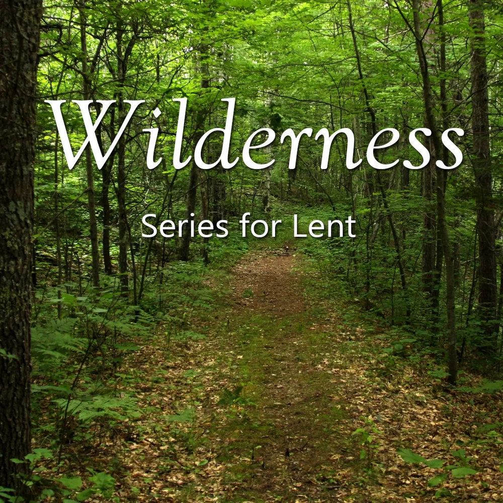 Wilderness - our theme for Lent 2023 — Lord of Grace Lutheran Church