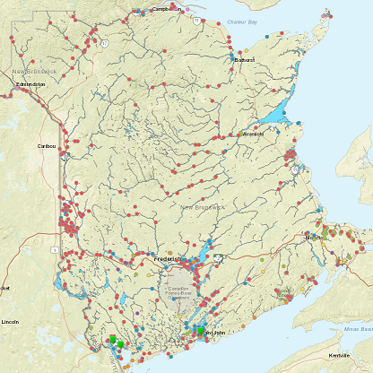 Invasive Species — ECW Inc
